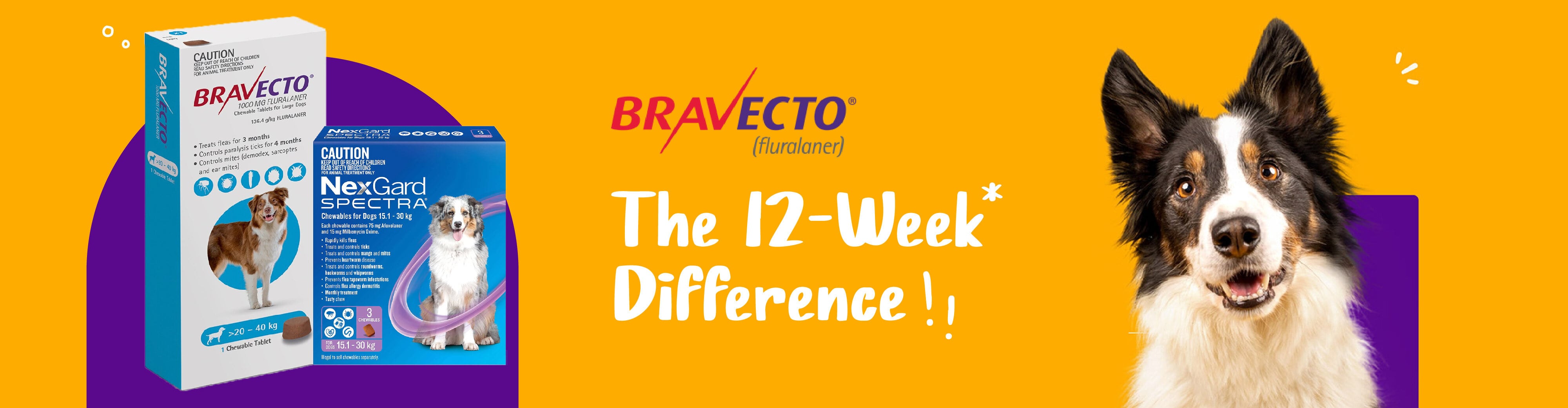 bravecto – Pet Collectives